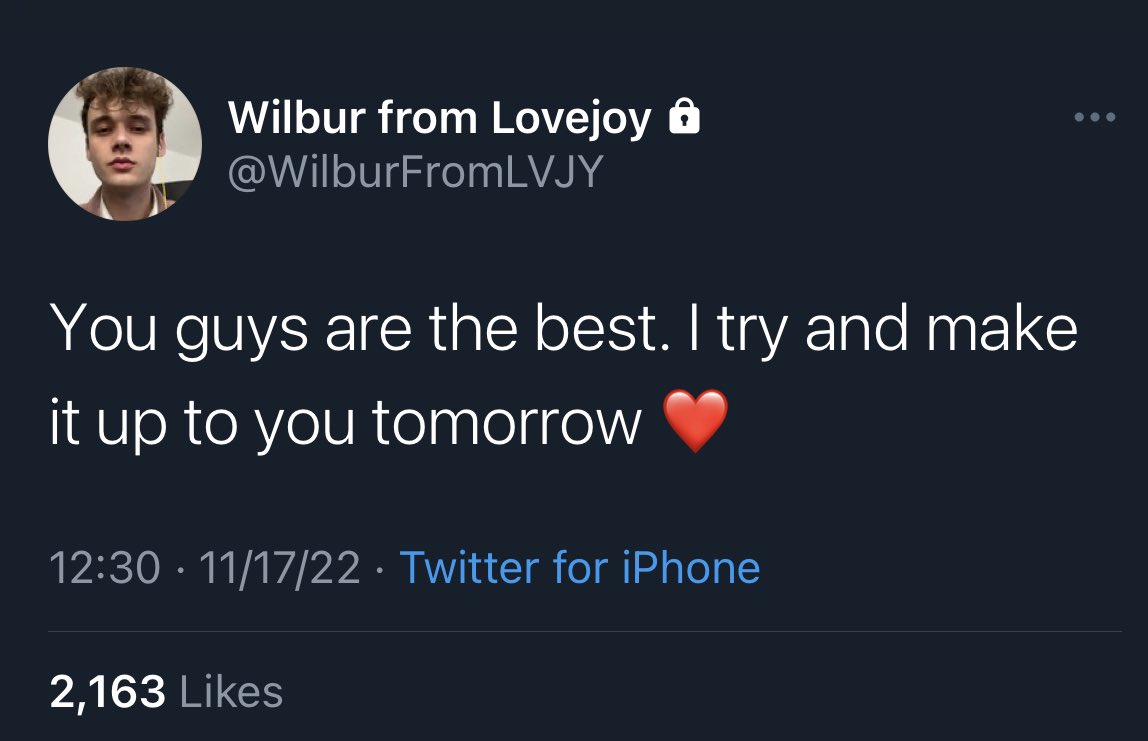 Wilbur Soot Updates π On Twitter Wilbur Posted On His Priv