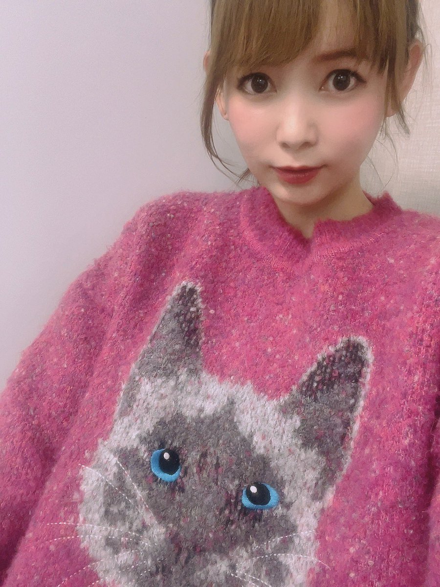 20周年の中川翔子🍒🍉🍫🍇🐈‍⬛🍣 on Twitter: "mmts CATFACEニット https://beams.co.jp/item/mmts/tops/16150018438/…"