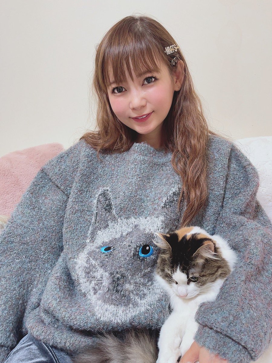 20周年の中川翔子🍒🍉🍫🍇🐈‍⬛🍣 on Twitter: "mmts CATFACEニット https://beams.co.jp/item/mmts/tops/16150018438/…"