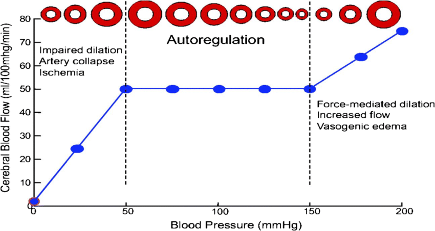 Guess what got me into vascular neurology? A tweetorial below hoping to ...