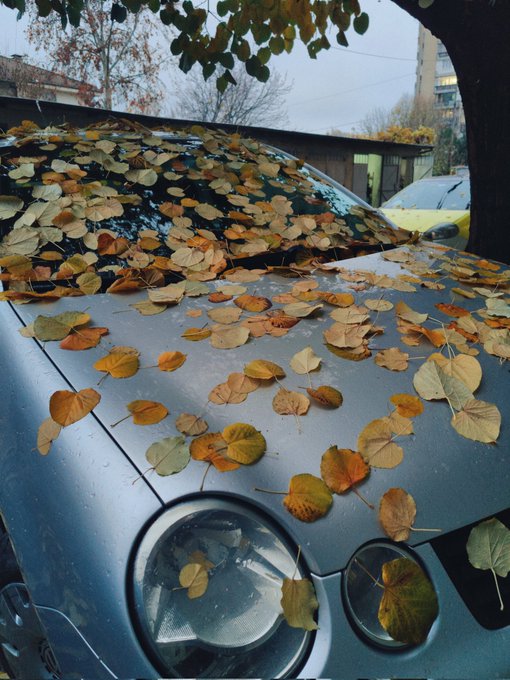 TW Pornstars - Kalin London 📷 🔞. The most retweeted pictures and videos ...