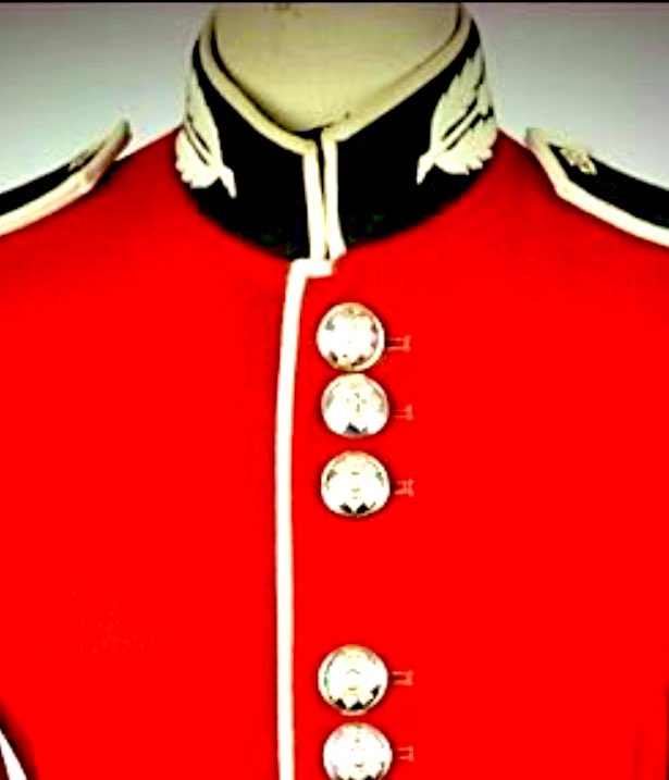 Alastair Bruce on Twitter: "Clearly #GuardsmanHenry” is @scots_guards here! @KensingtonRoyal"