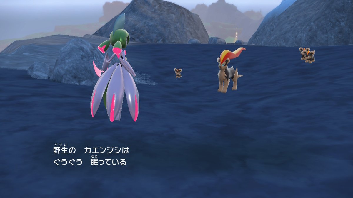 Fusao On Twitter ポケモンのシンボルエンカウント、図鑑の為に群れの母親を弱らせて眠らせて子供の前で拉致していくと冒険とは宝物とはってなる