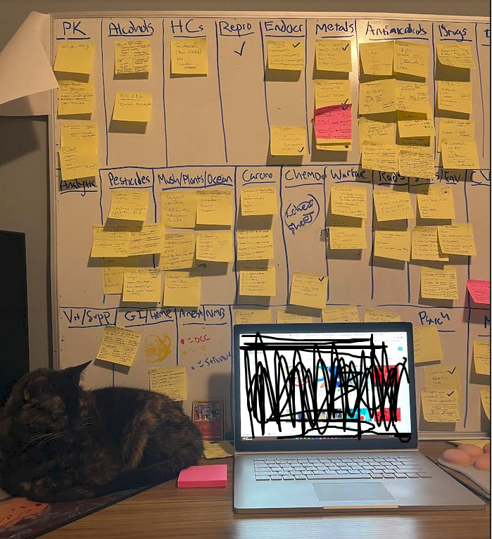 After taking tons of tests over the years, I have honed a study ...