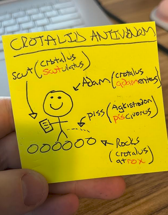 After taking tons of tests over the years, I have honed a study ...