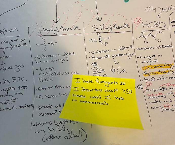 After taking tons of tests over the years, I have honed a study ...