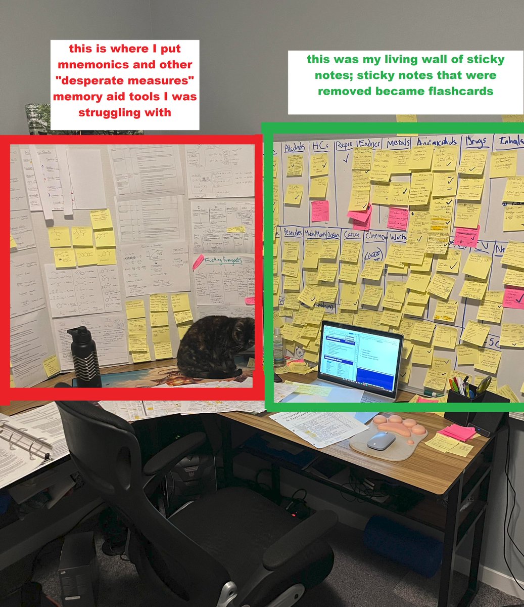 After taking tons of tests over the years, I have honed a study ...