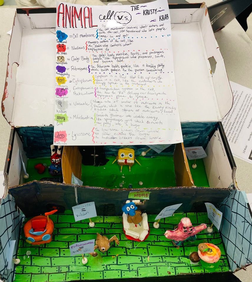 Animal Cell Analogy Project Examples