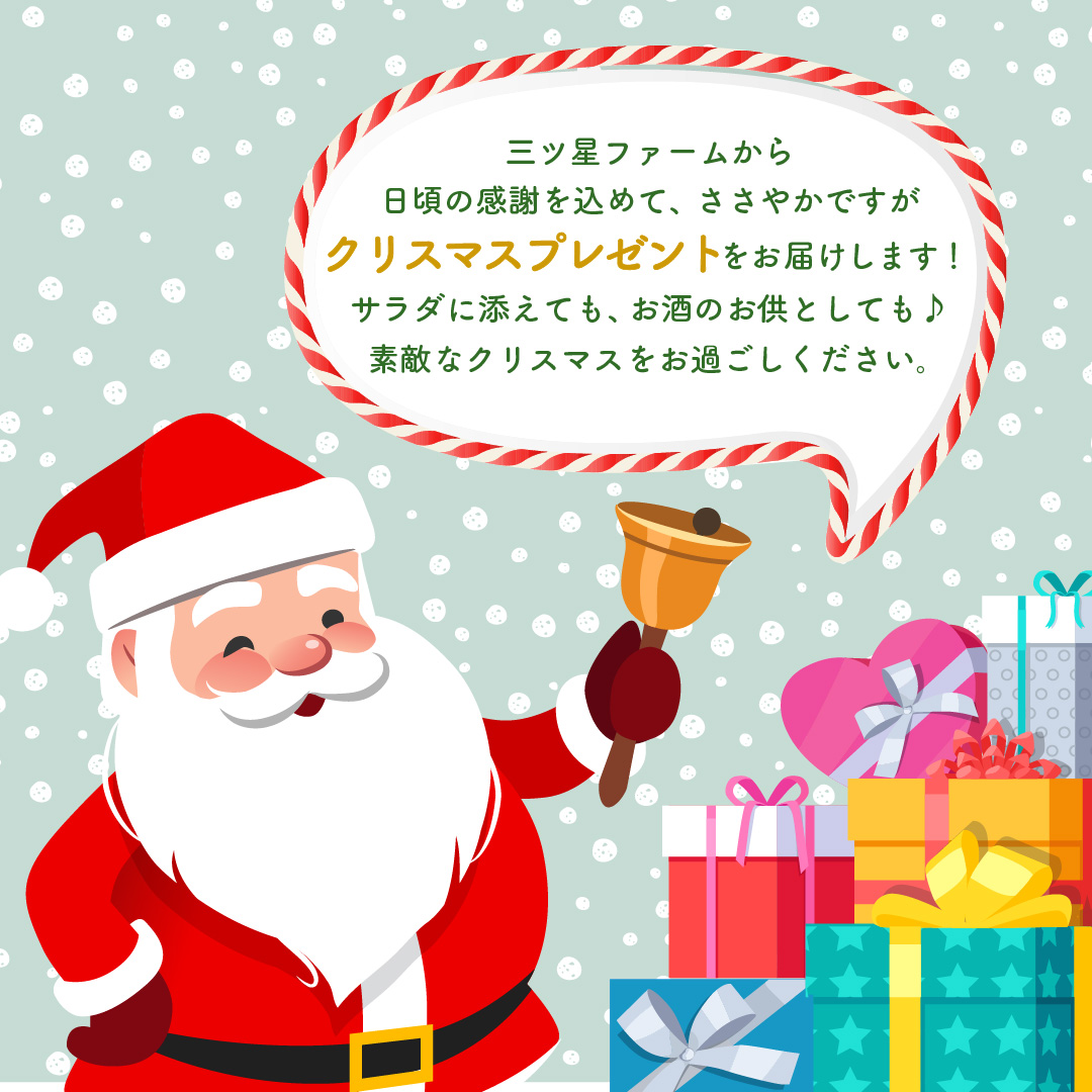 三ツ星ファーム｜宅配弁当・冷凍弁当サービス on Twitter: "🎄🎅#冬の贈りもの🎁 #三ツ星ファーム の次回お届け予定日を 12/1-12/25でご指定いただくと！🛷 数量限定で ...