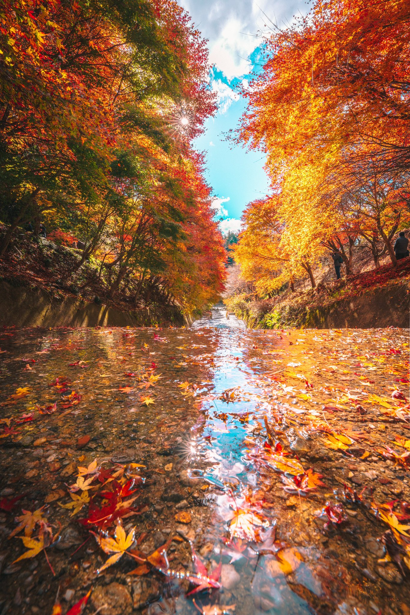 Kanata on Twitter: "移りゆく季節が織りなす絶景。 https://t.co/0mHsKmJO5H" / Twitter