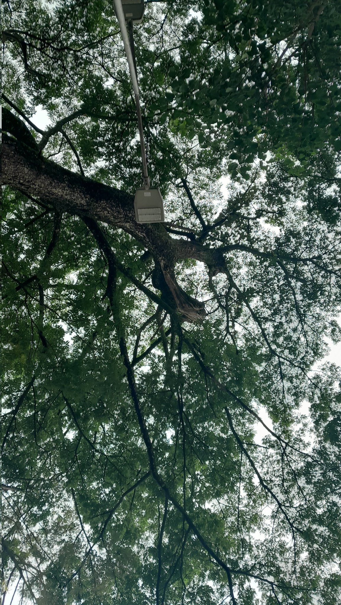 lilly on Twitter: "@convomfs Samsung a13 https://t.co/m1VjKOvxFN" / Twitter