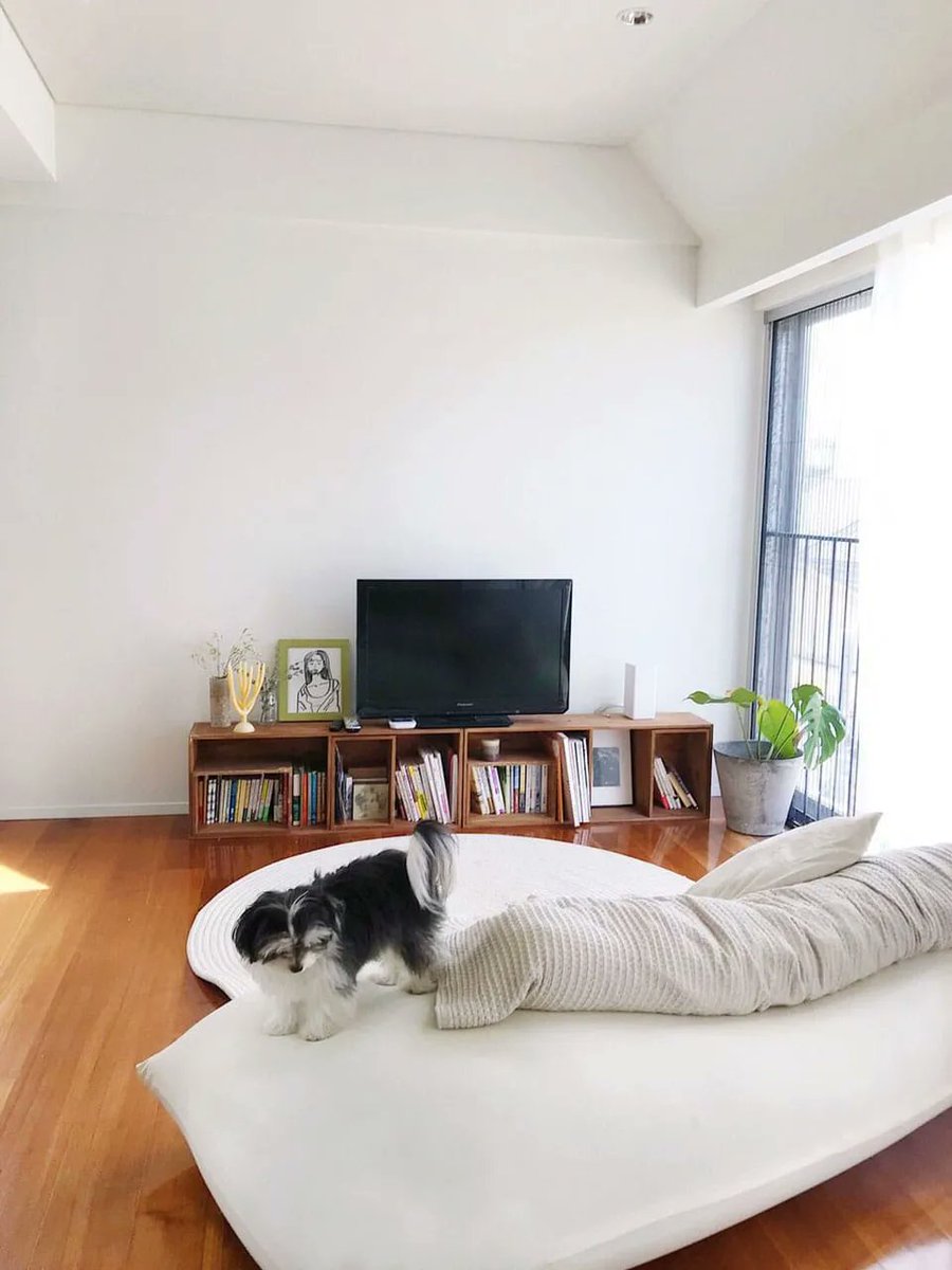 GINZA on Twitter: "【 #私と部屋 】 空間やものに流れる時間を享受。白とブラウンに囲まれて、愛犬と穏やかに暮らす https://buff.ly/2XhcRTv"
