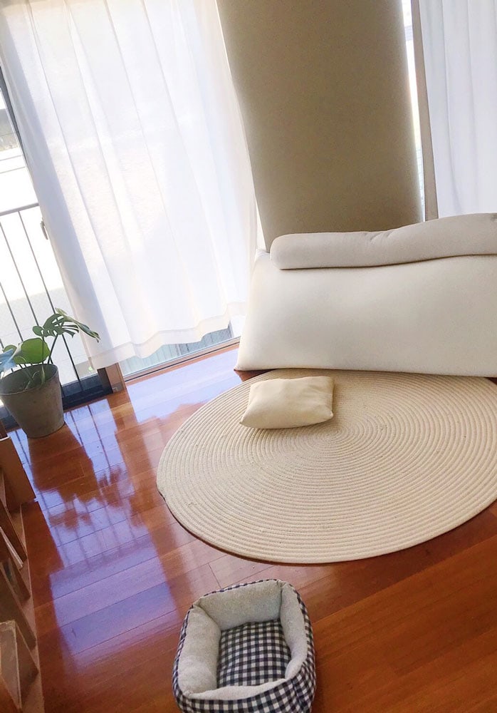 GINZA on Twitter: "【 #私と部屋 】 空間やものに流れる時間を享受。白とブラウンに囲まれて、愛犬と穏やかに暮らす https://buff.ly/2XhcRTv"