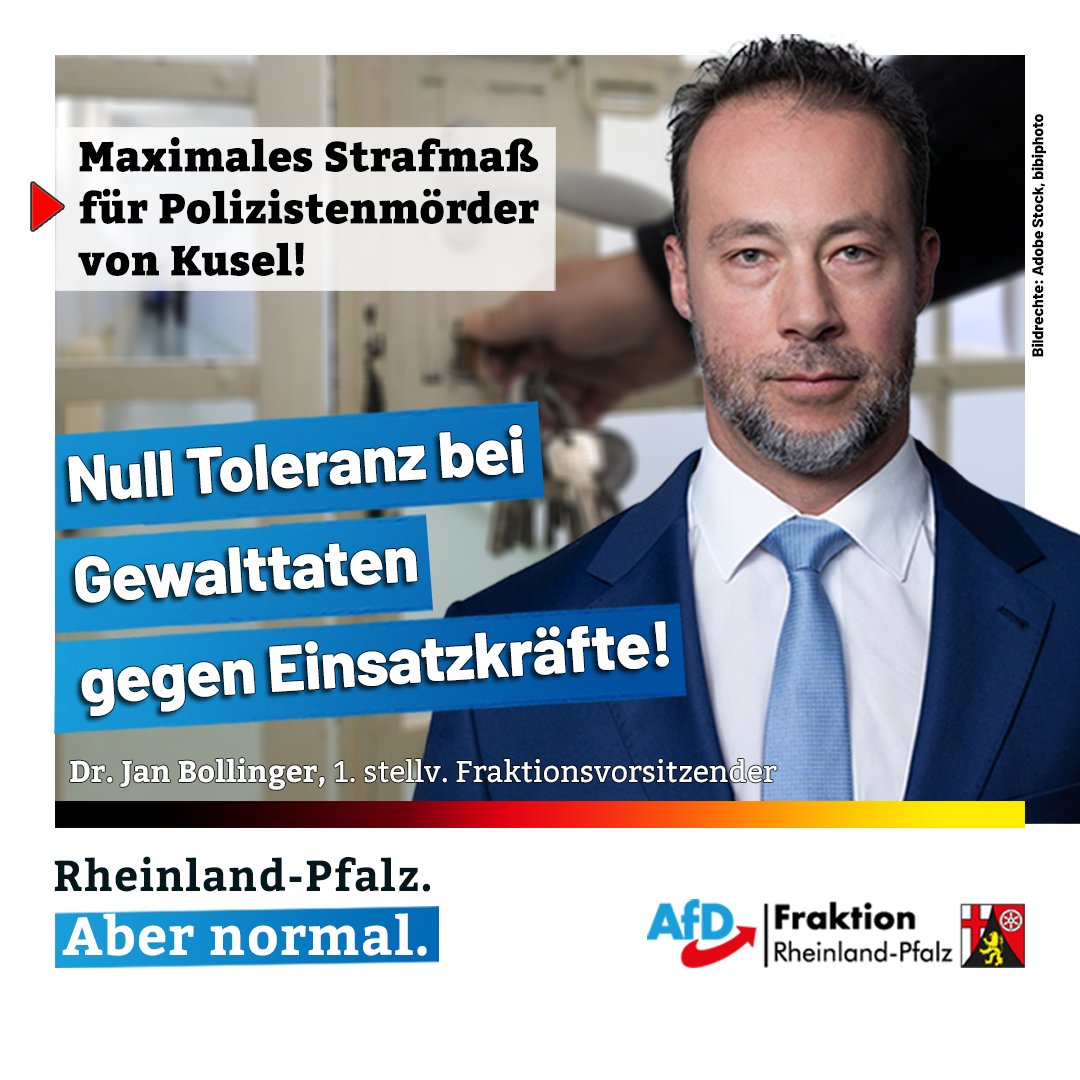 AfD Politik für Rheinland Pfalz