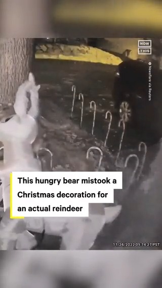 NowThis on Twitter: NowThis on Twitter: