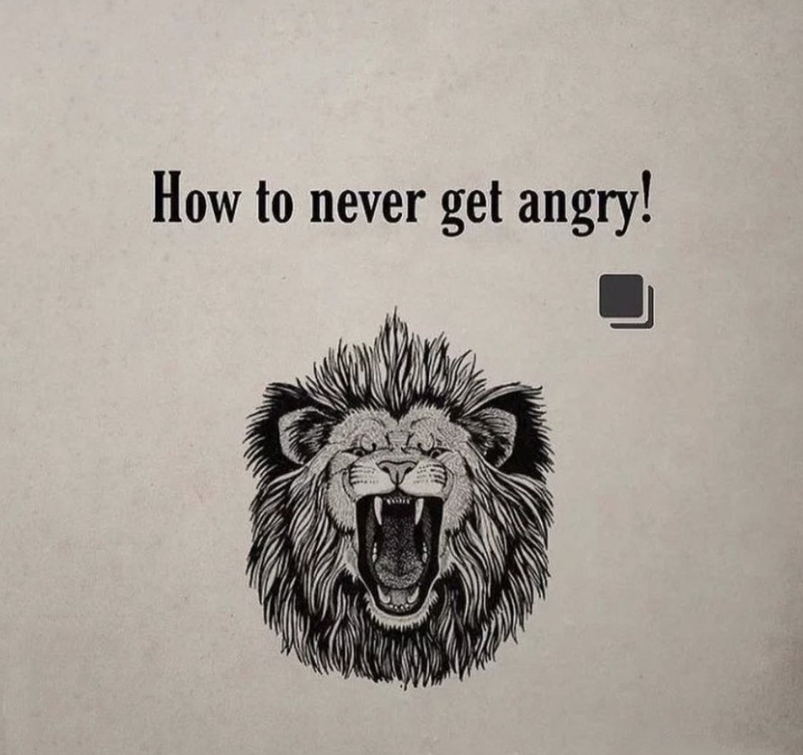 Philosophy Flows 💭's Threads – Thread Reader App