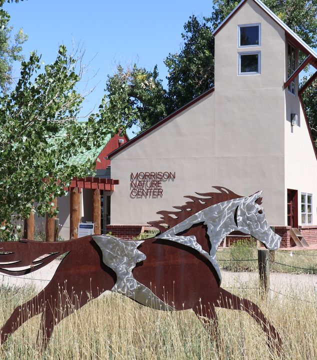 Are Dogs Allowed At Star K Ranch