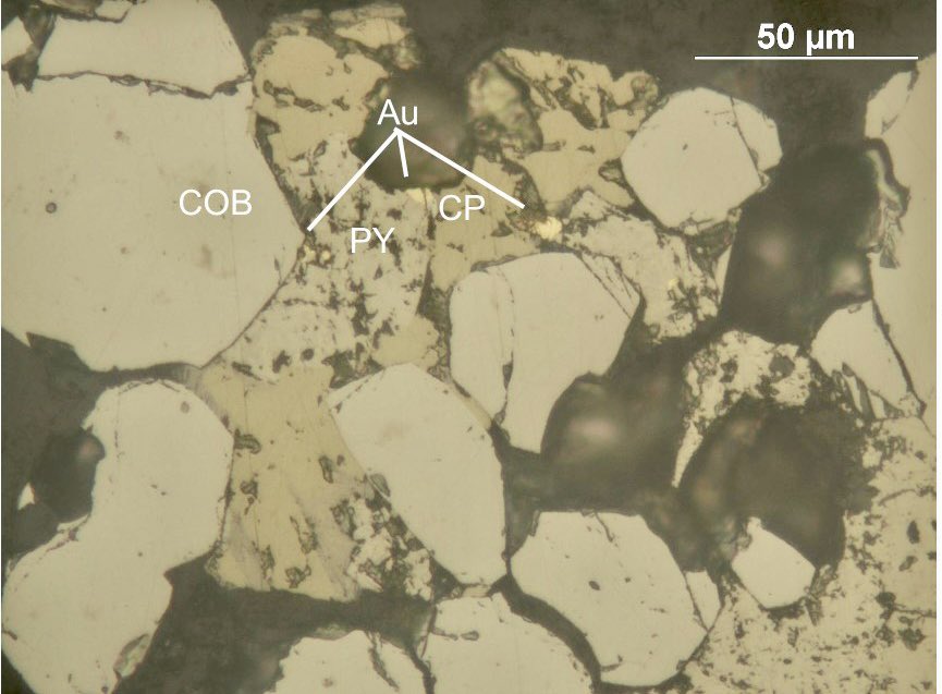 Pyrrhotite Under Microscope