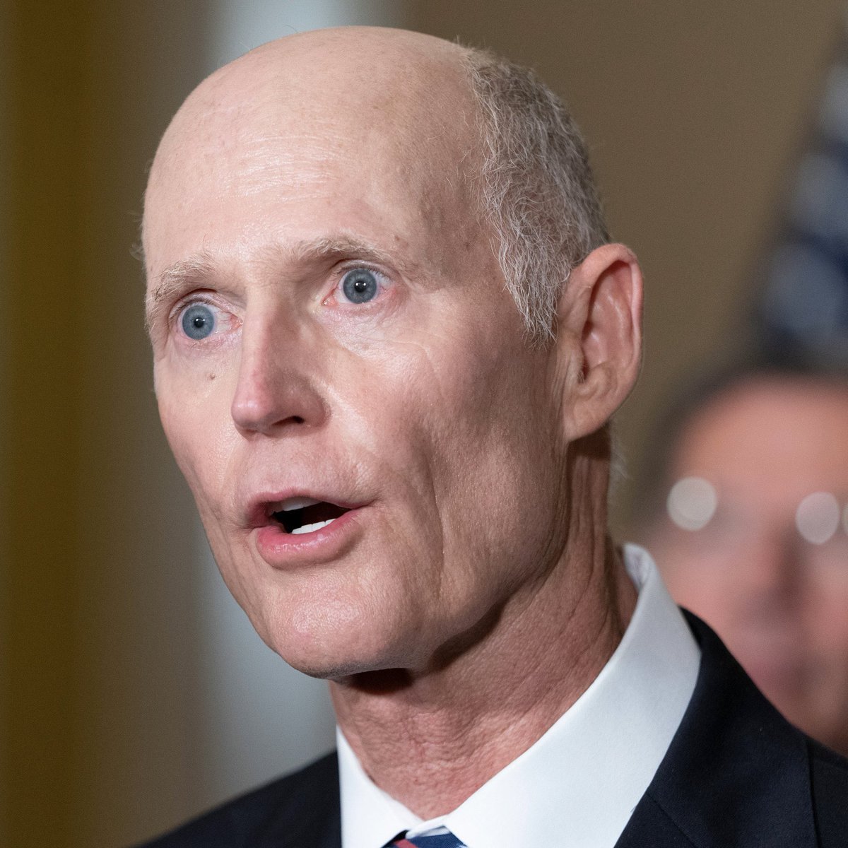 Le Chat Biden Democrat on Twitter: Le Chat Biden Democrat on Twitter: