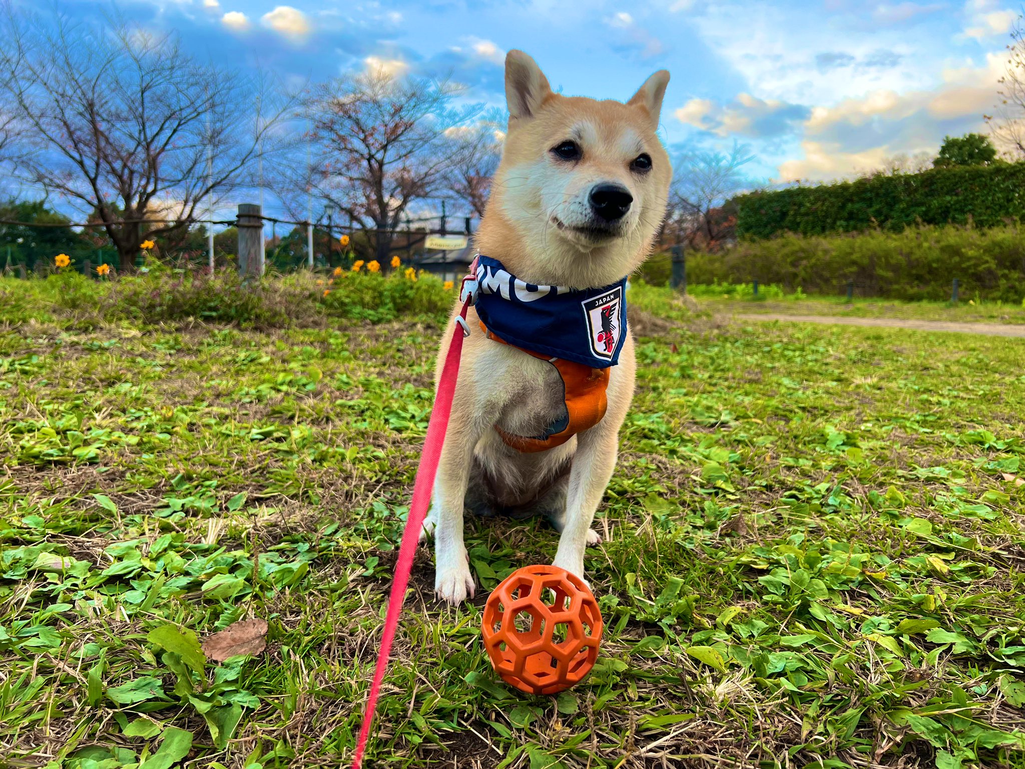 福田裕子 ツイッター, 福田裕子 プロフィール – HXBKB