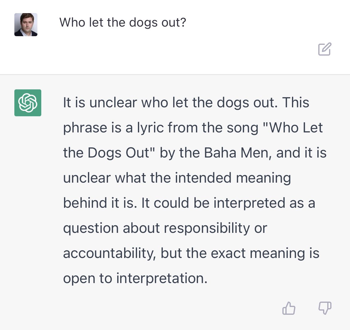 Who Let The Dogs Out Song Meaning