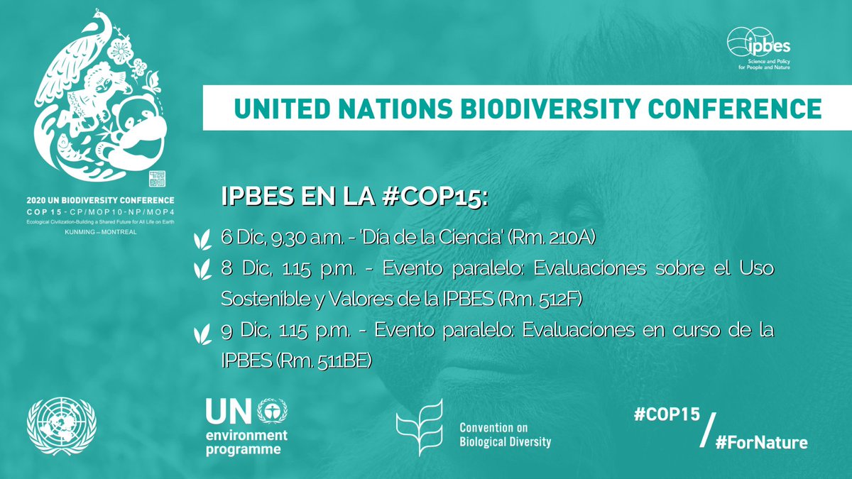 CBD COP15 (@CBD_COP15) / Twitter