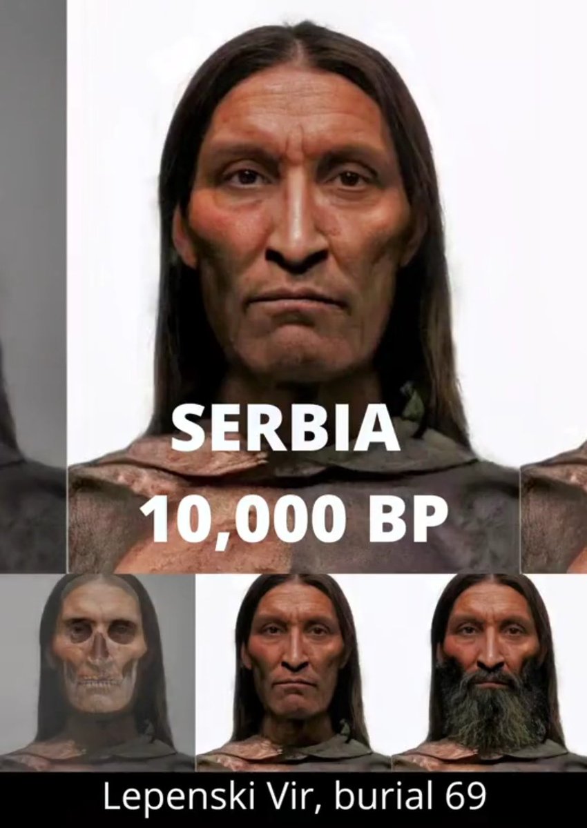 Komšija opasnih namera on Twitter: "Zvanično je. Srbi su bili prvi stanovnici američkog kontinenta."