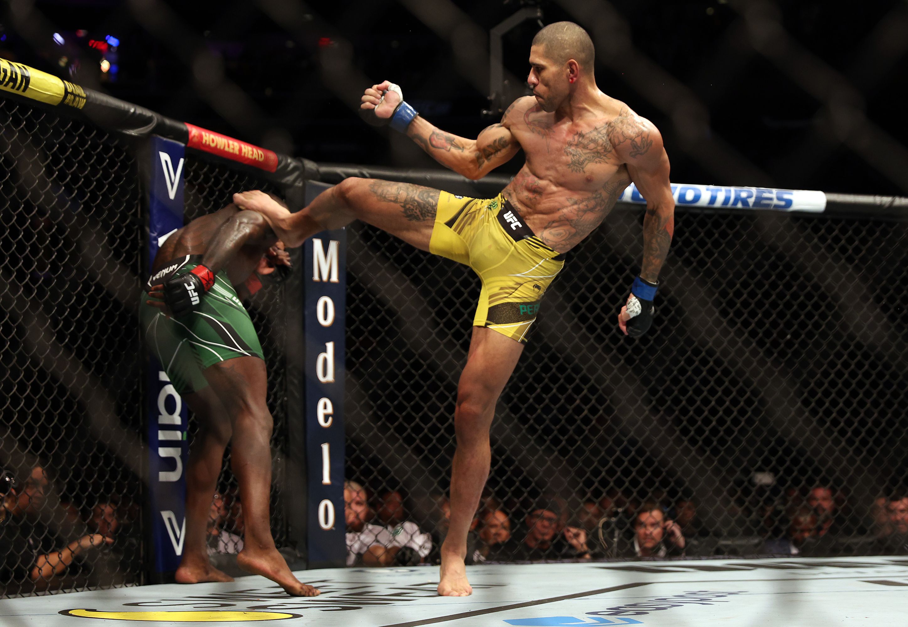 Joe Rogan Ufc Fight Joe Rogan Ufc Fight