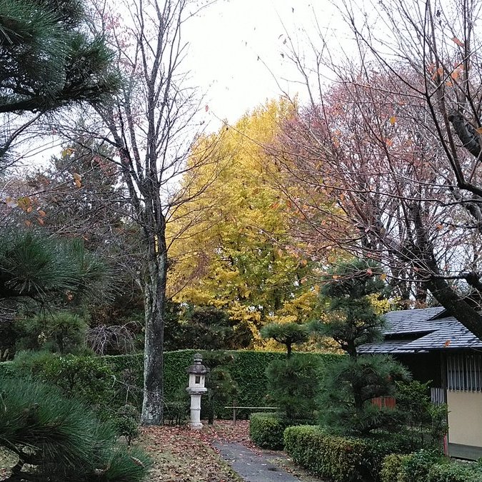 徳川ミュージアム On Twitter 本日の水戸はあいにくの雨模様ですが、ミュージアム内の紅葉は見頃を迎えました。雨の中の紅葉も風情がありとても素敵です