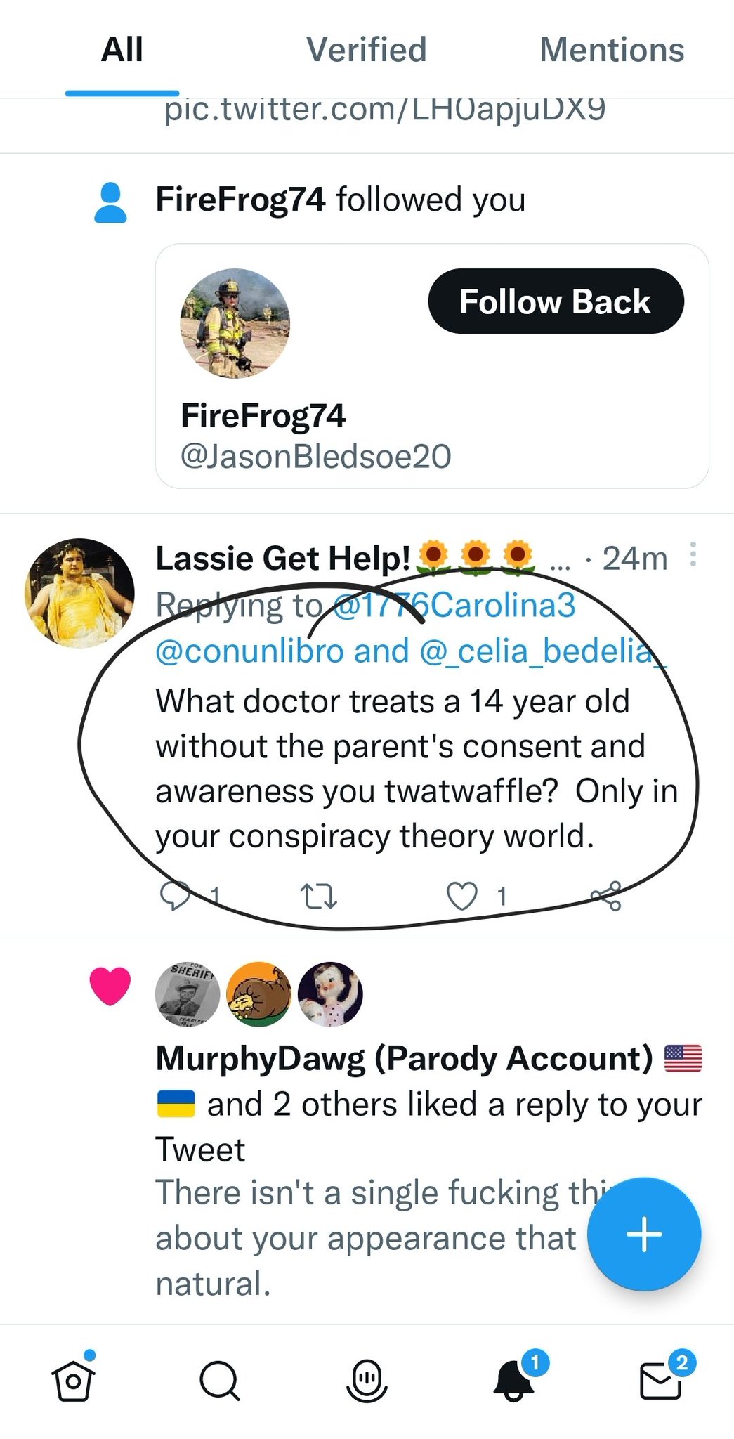 CarolinaConservative3 On Twitter Lassie420 conunlibro celia bedelia D Https t co carolinaconservative3-on-twitter-lassie420-conunlibro-celia-bedelia-d-https-t-co