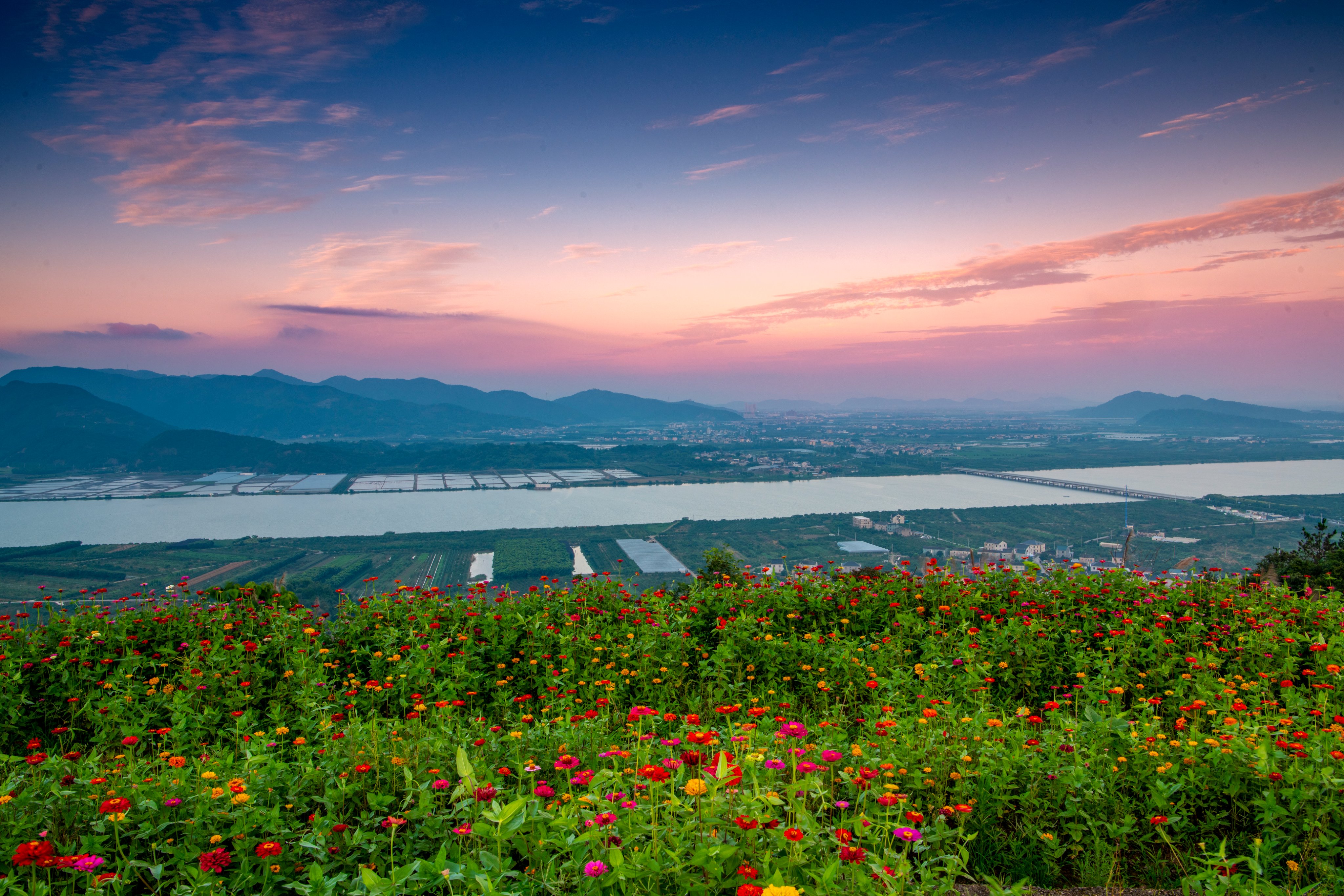 Insight Ninghai (@InsightNinghai) / Twitter