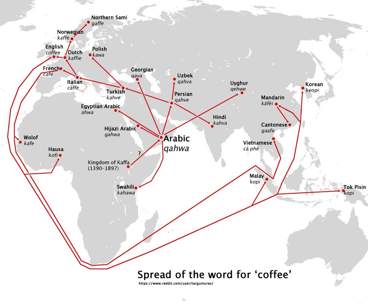 Robert Tracinski On Twitter RT xruiztru The Spread Of The Arabic Word qahwa coffee robert-tracinski-on-twitter-rt-xruiztru-the-spread-of-the-arabic-word-qahwa-coffee