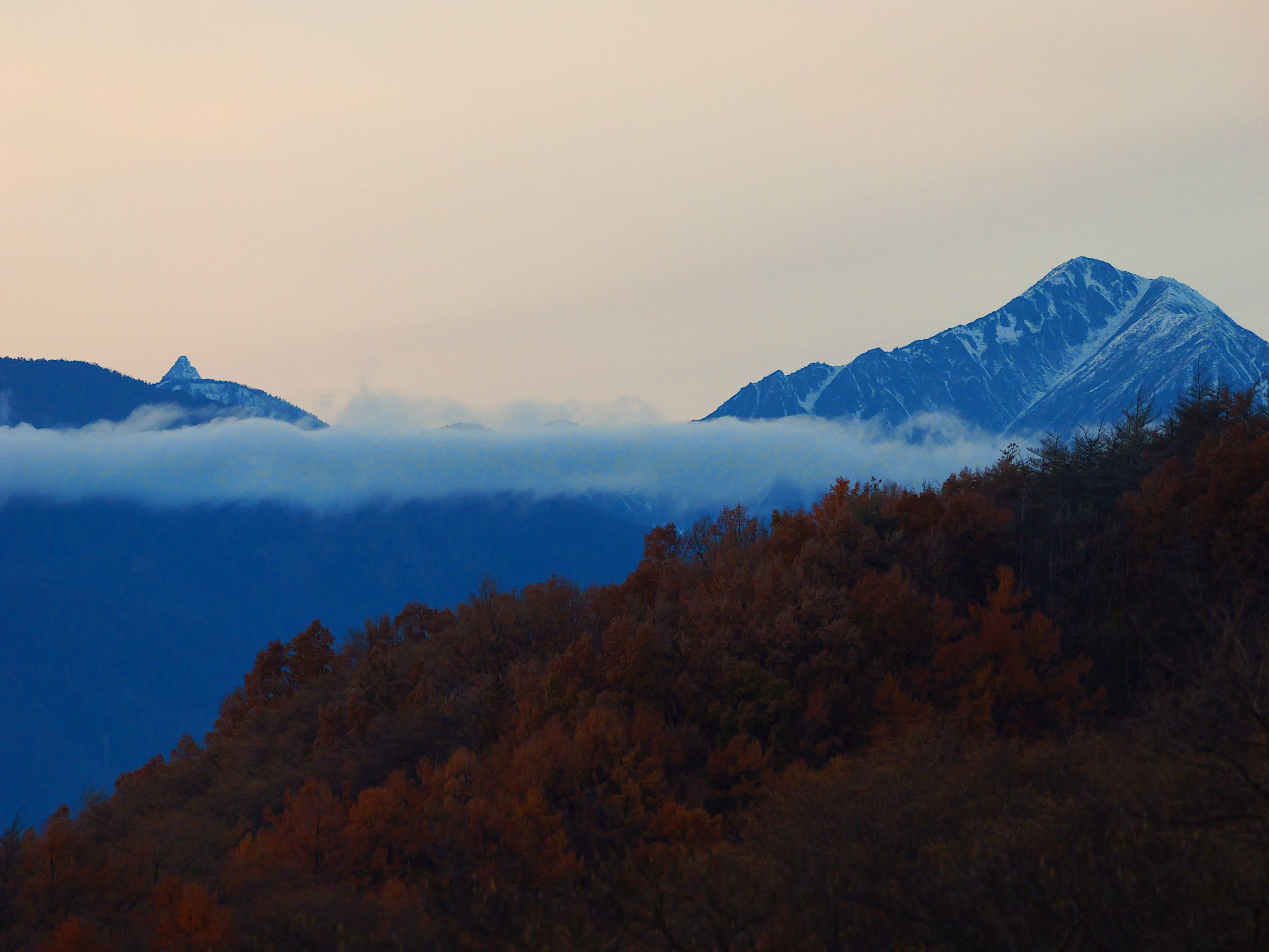 STUDIO_TARAS on Twitter: "左手でワンコのリード、右手でGH6+50-200。 片手持ちで400mm相当が撮れるのってMFTならではだわ。 ちなみに左側の尖がってるのが ...