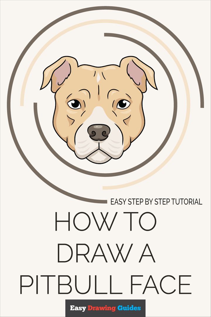 Pitbull Face Drawing