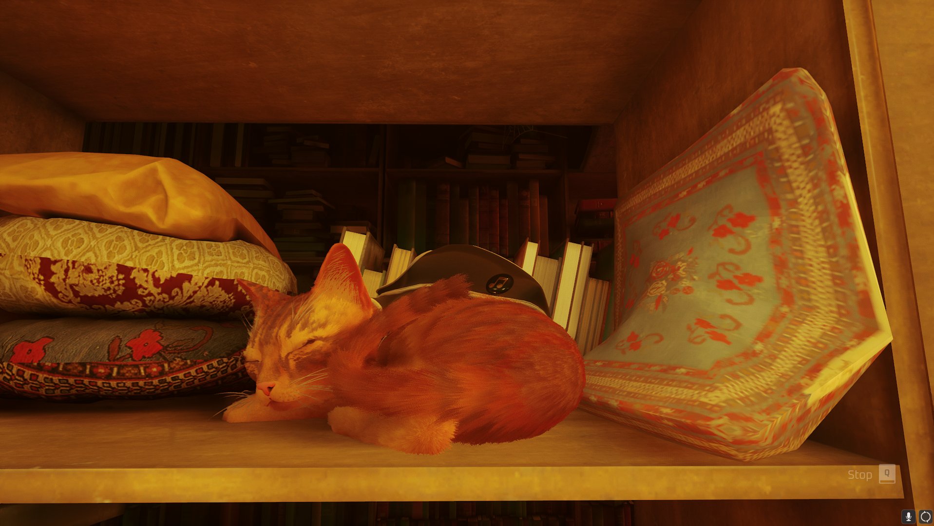 Chellie Michaelis 📚♋ on Twitter: "Stream end! I am hyper and caffeinated right now but the ...