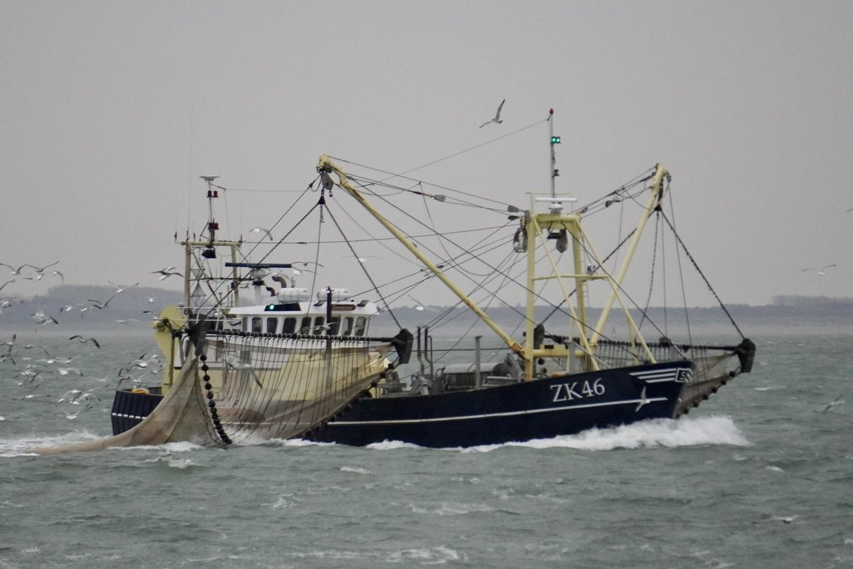 Platvis Archieven - Visserij.nl