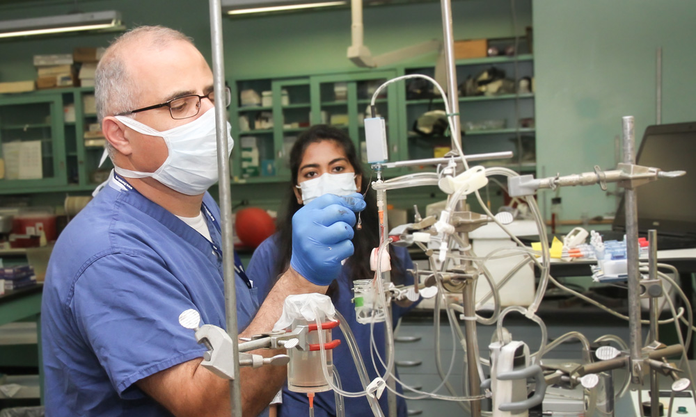 Mcw 2022 Graduation Clipart