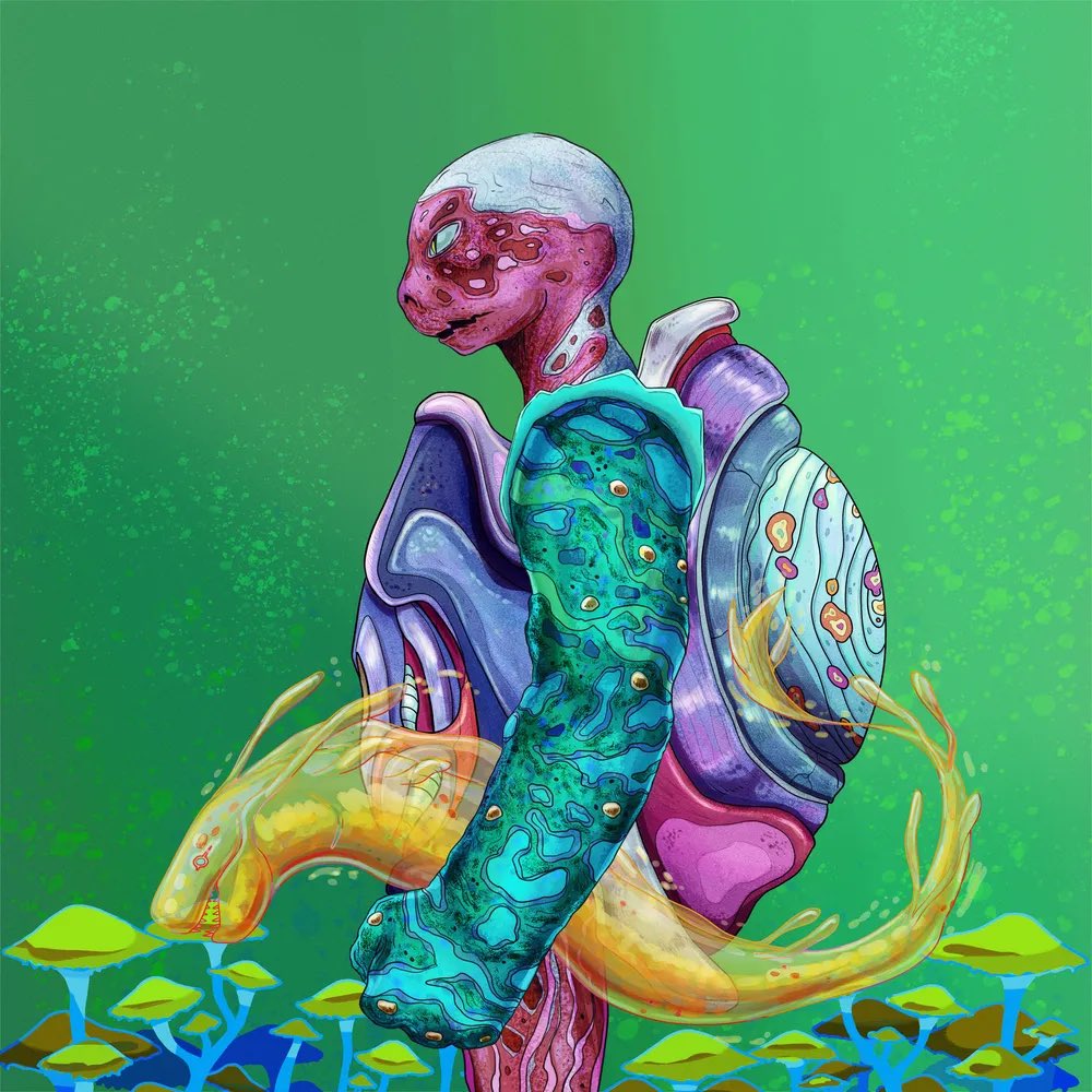 xxVol3kxx on Twitter: "@ShellzOrb Coral!!! https://t.co/mdVhPGcWJK" / Twitter