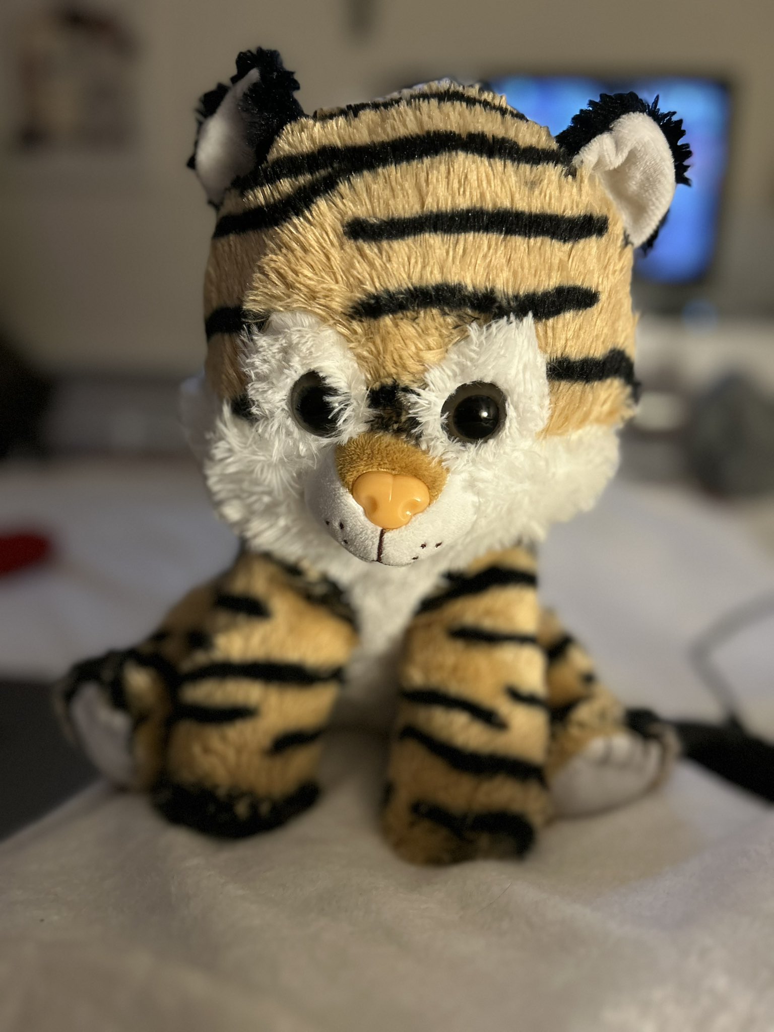 TW Pornstars - Libby Loveshaft - Real Life Futa 40% Off OF. Twitter. My little fluffy tiger Maya ...