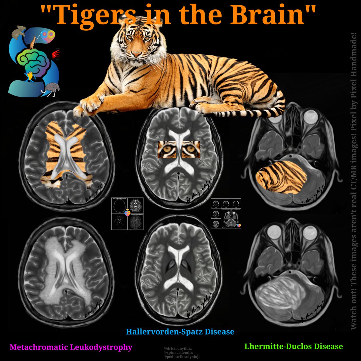 Fantastic animals in the brain!!! “From the tiny tadpole, to the giant ...