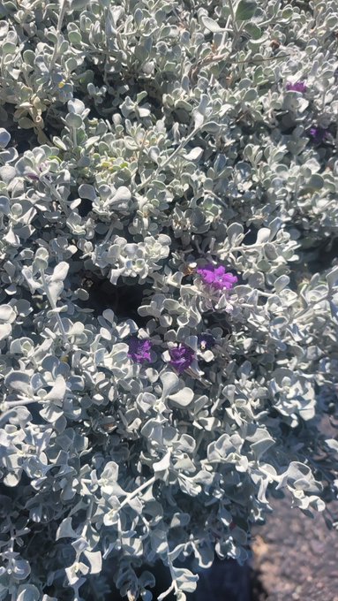 TW Pornstars - Erica Bannon. The most retweeted pictures and videos for ...