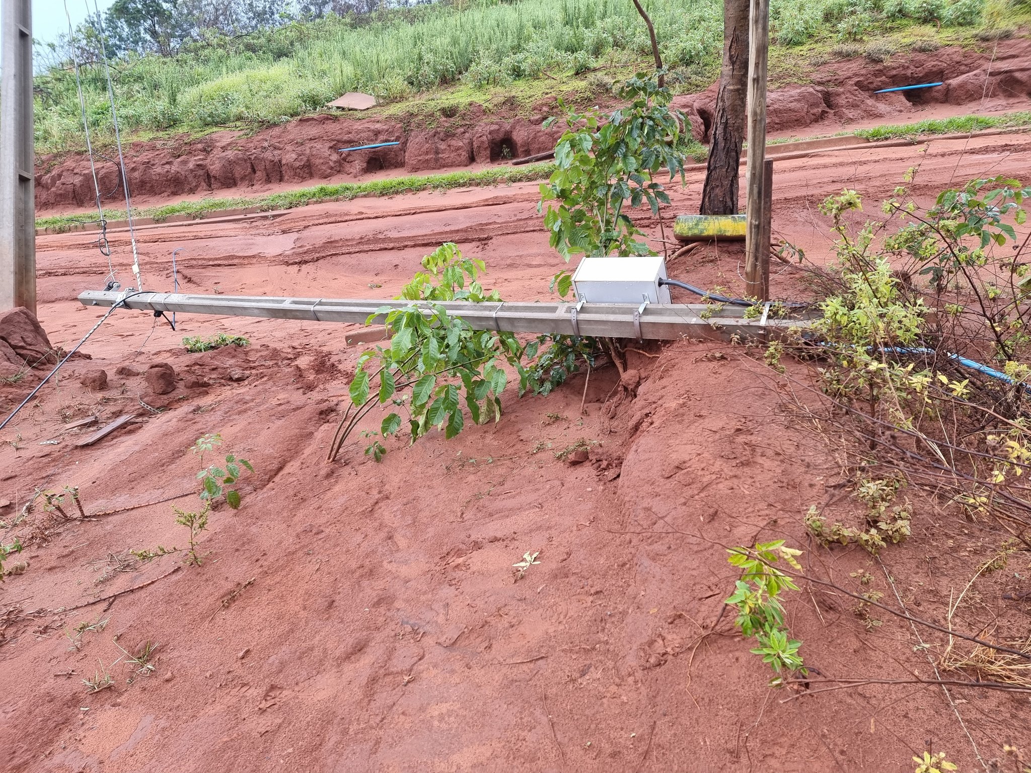 Sweet VIP Fan Club 75% code: mis35531 on Twitter: "strong storm today, it's over now, power pole ...