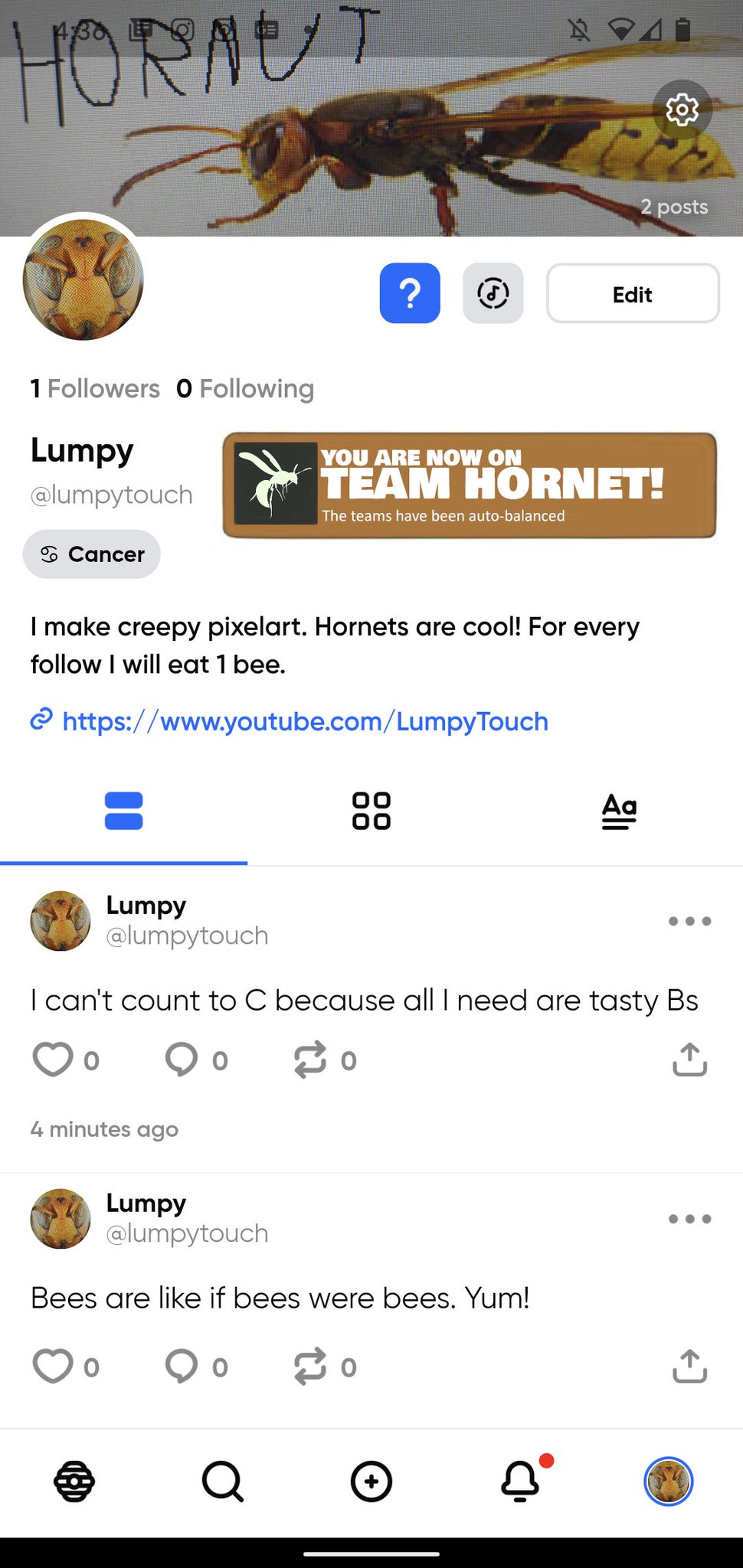Lumpy on Twitter: "Made an account on Hive and I got auto-balanced to TEAM HORNET?! https://t.co ...
