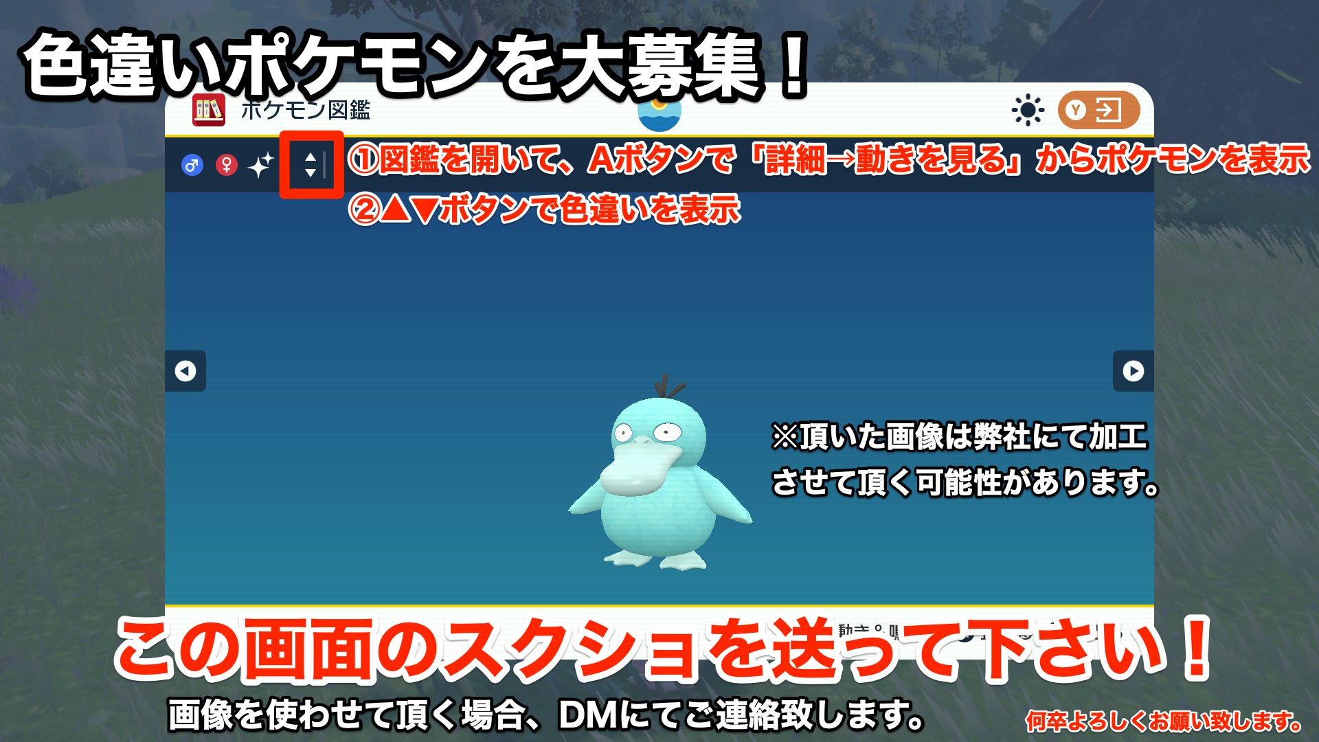 ポケモンsv攻略 Game8 On Twitter 【協力依頼】色違いポケモンの画像募集🙌 弊社記事に掲載する、 「色違いポケモン」の画像