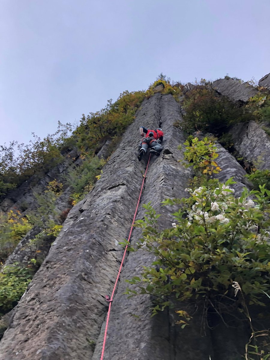 ミレー(@Millet_jp) - Twilog (ツイログ)