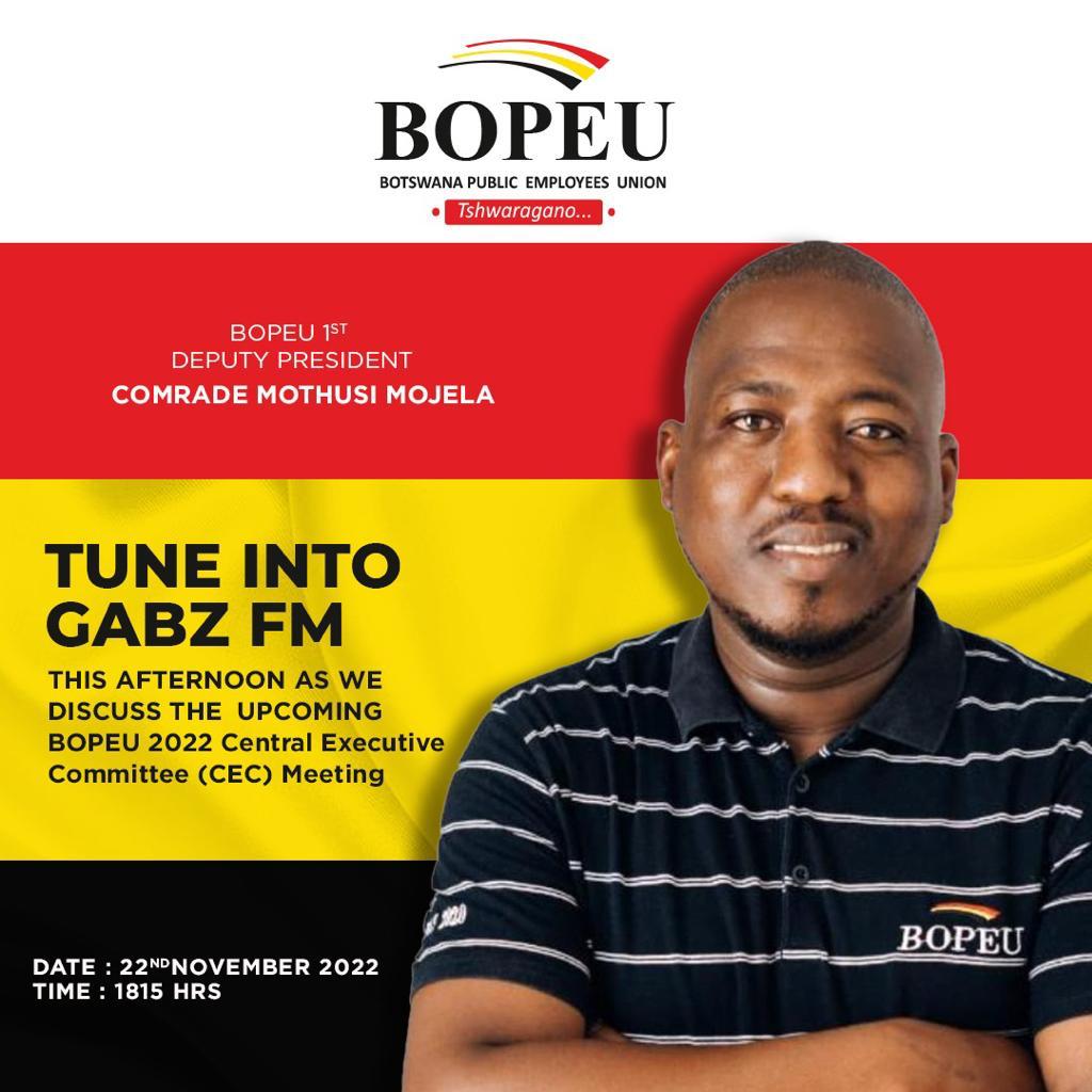 Bopeu Logo Babereki Insurance Brokers Logo & Brand Assets (SVG, PNG