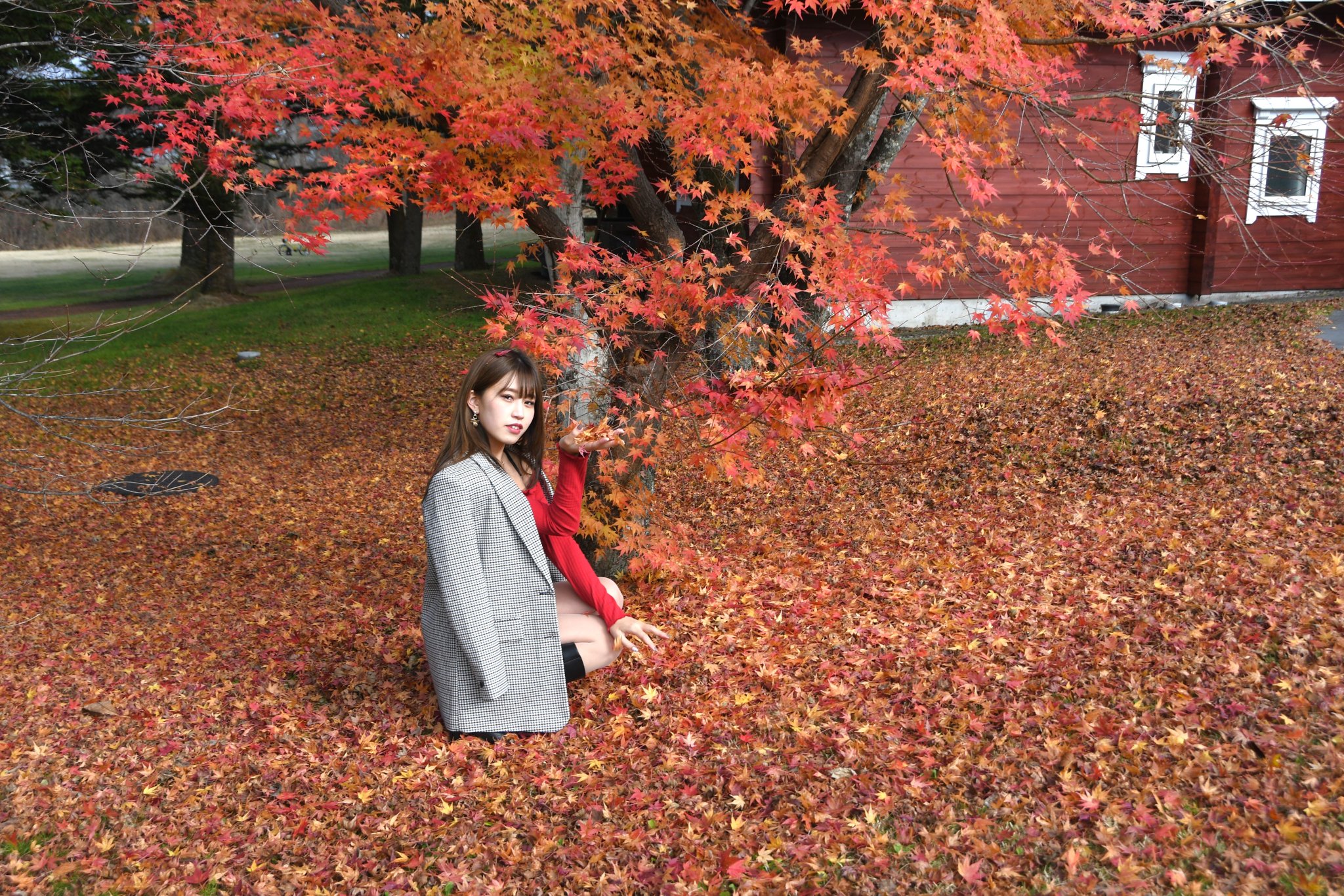 Dora Neko, Male Cat Meow どらネコ on Twitter: "#烏櫻子 @sakurakokarasu #サロンモデル ...