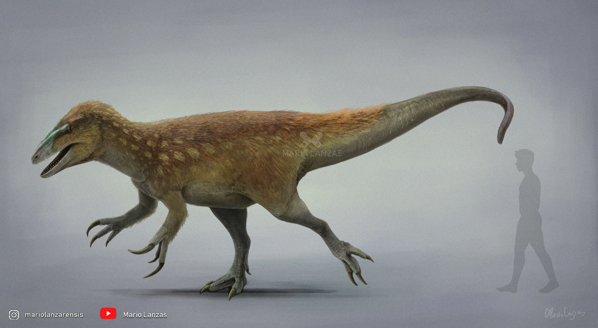 Megaraptora Deviantart