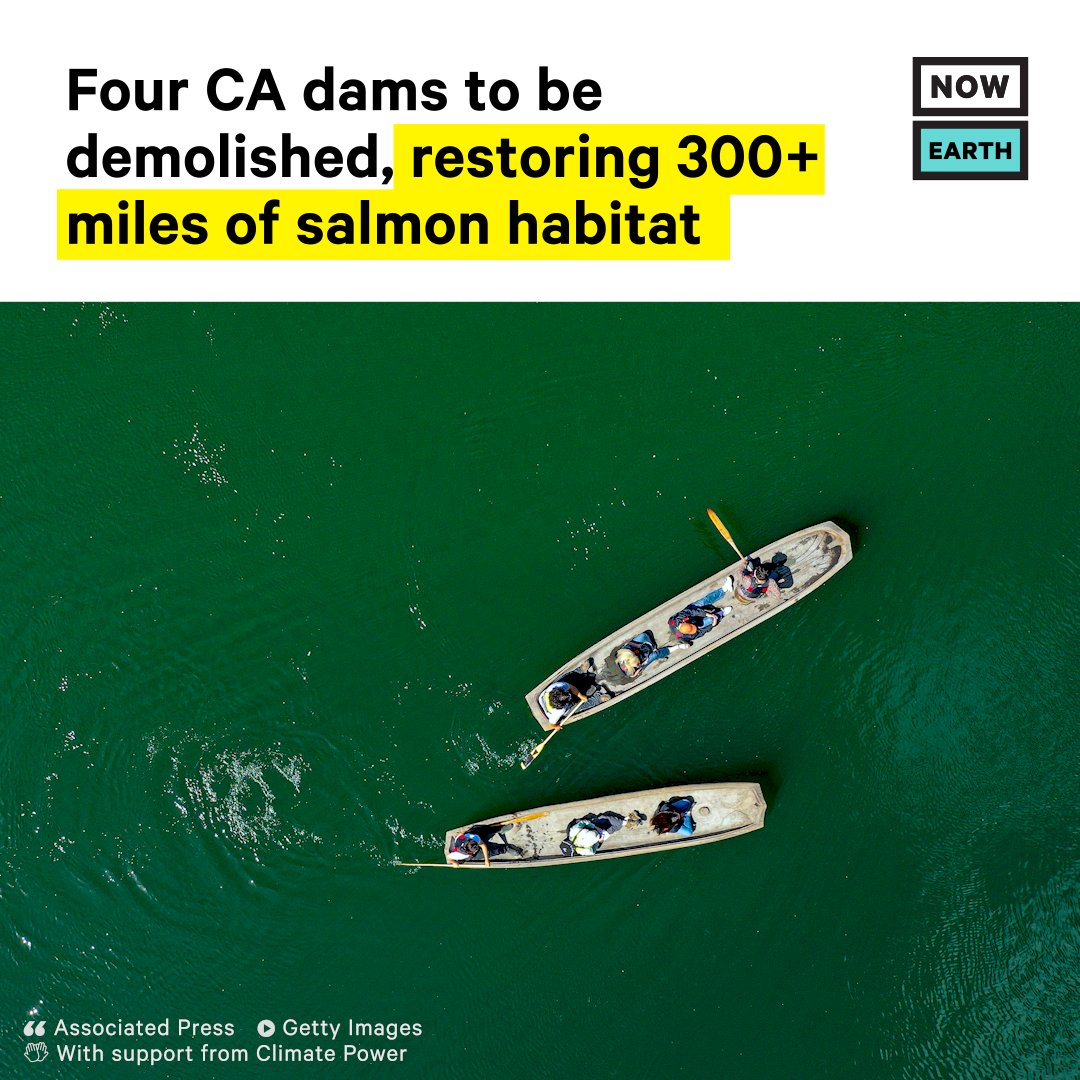 Thread by @nowthisnews on Thread Reader App – Thread Reader App