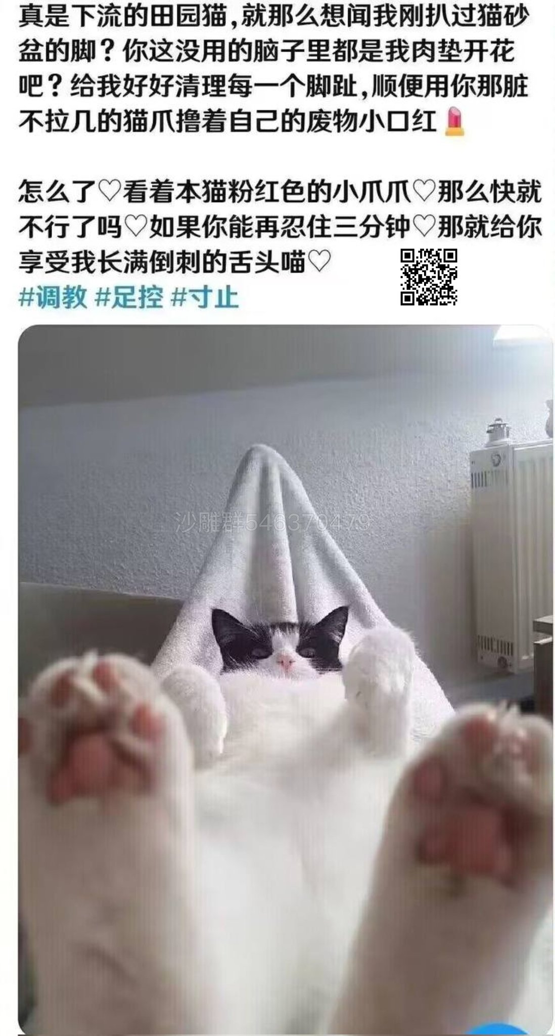 喵小白 on Twitter: "噗 https://t.co/w8ONeWfy02" / Twitter